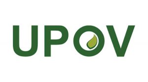 FCDO KCS - Changescope